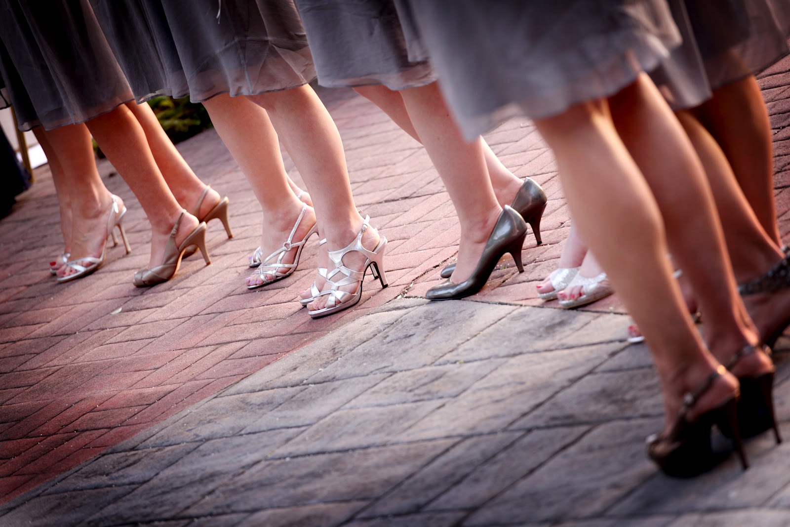 Michael Polito Photographer