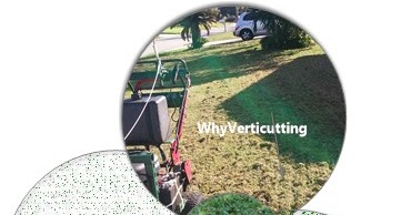 What is Verticutting?: Why Verticutting