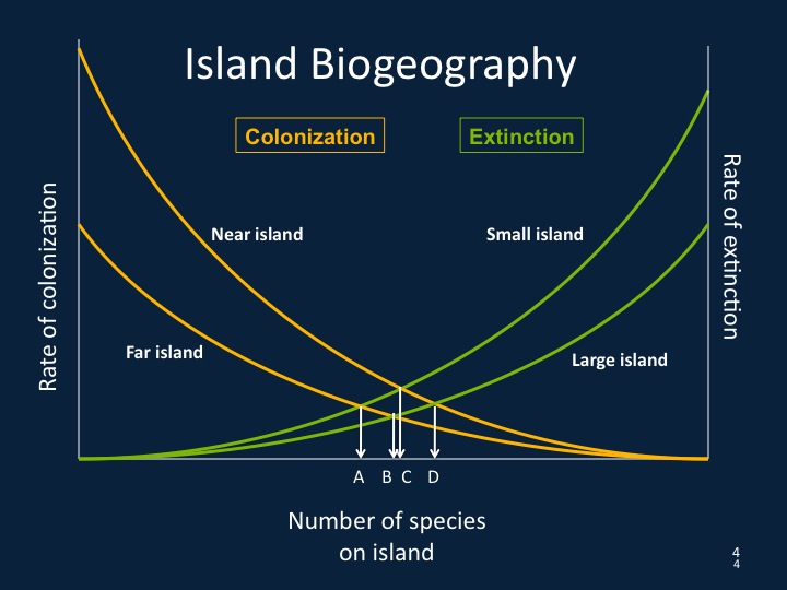 The California Channel Islands: America's Galapagos: MacArthur and ...