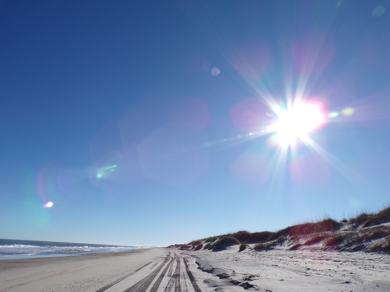 January Beach of the Month: Cape Hatteras National Seashore