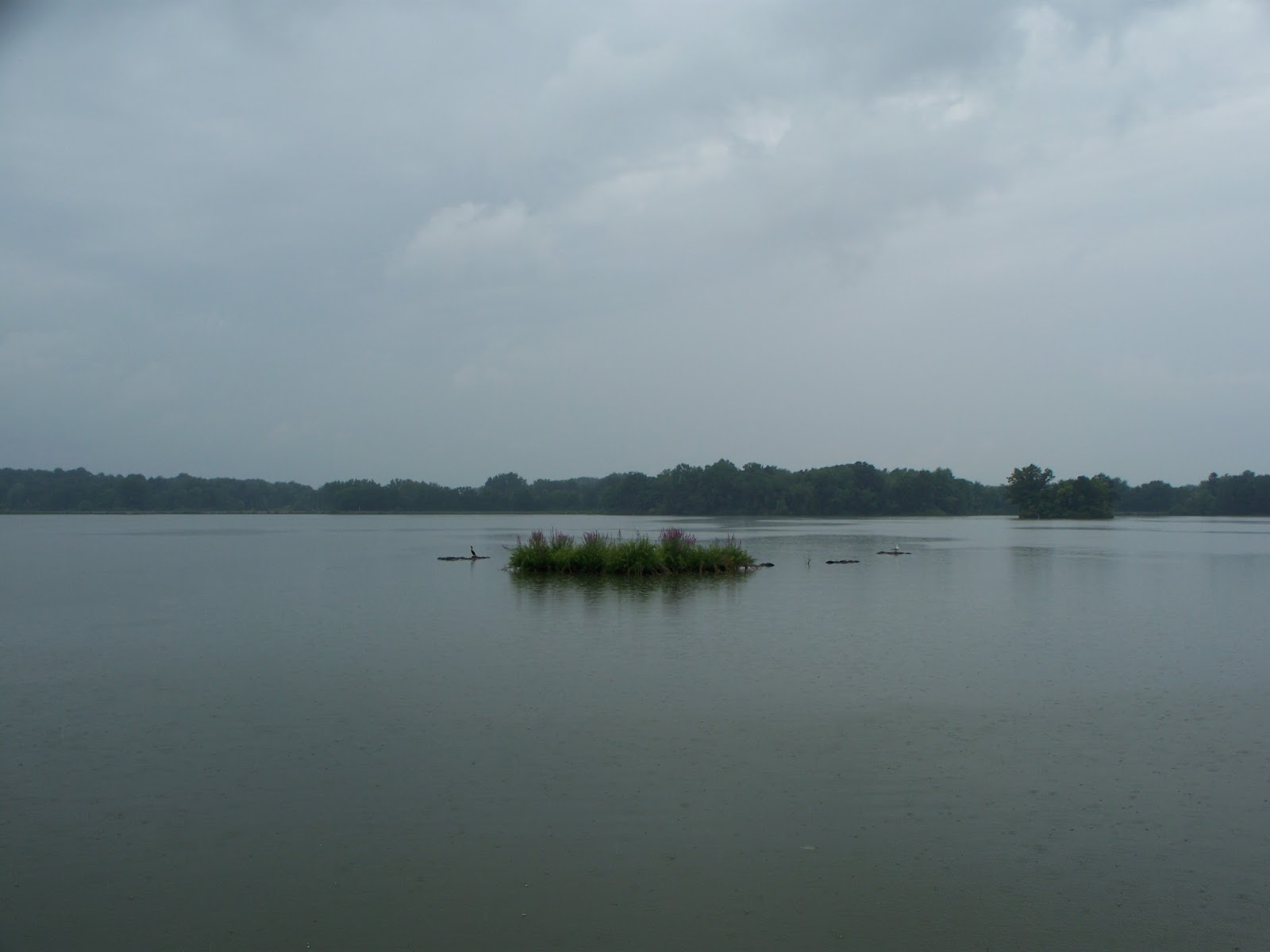 A Taste For The Woods: Wingfoot Lake State Park, Suffield, Ohio