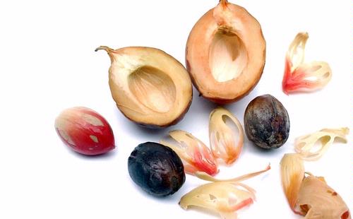 Informasi Kesehatan Alami: Buah Pala, Selain digunakan Untuk Rempah ...