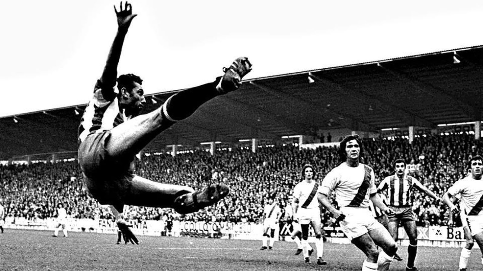 BAU Estudio Arquitectos: Quini