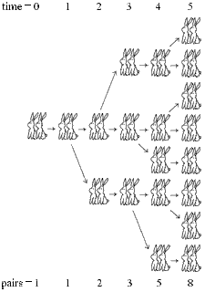 Author Tom Robinson: Who was this Fibonacci guy anyway?