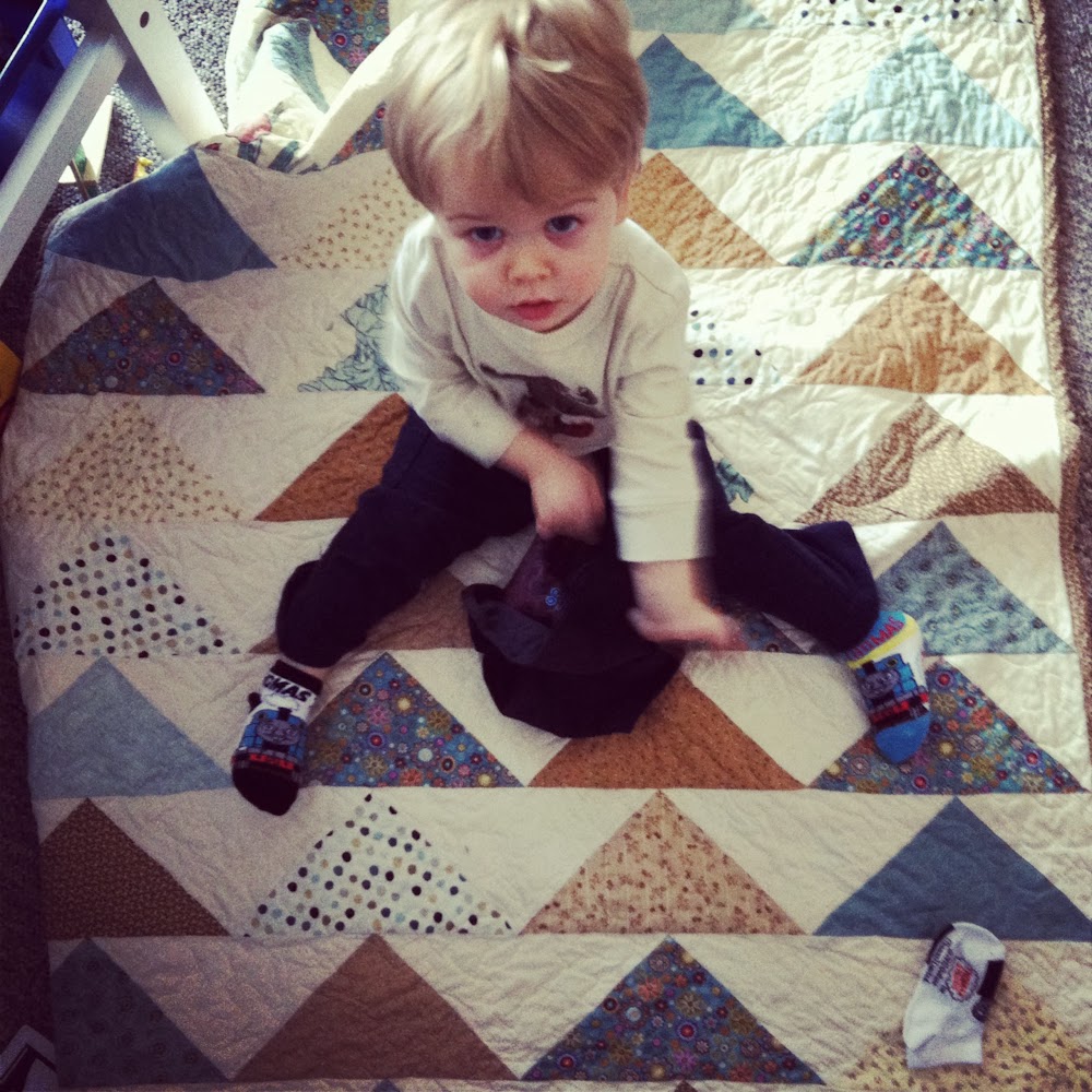 birds of the air quilts: James's birds of the air quilt finished