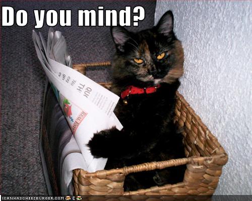 Improving my English: Would you mind...? vs Do you mind...?