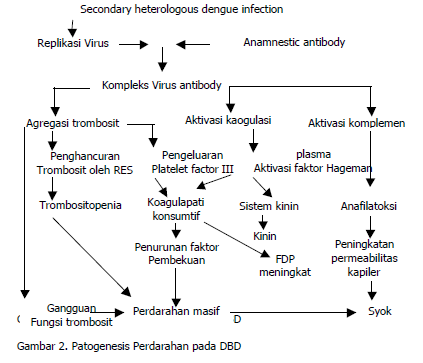 Intan Risna's: Demam Berdarah Dengue