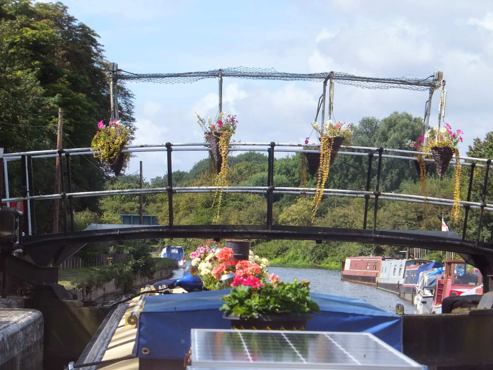 and Millie makes three: Waltham Town Lock (Lee Navigation) – Tuesday ...