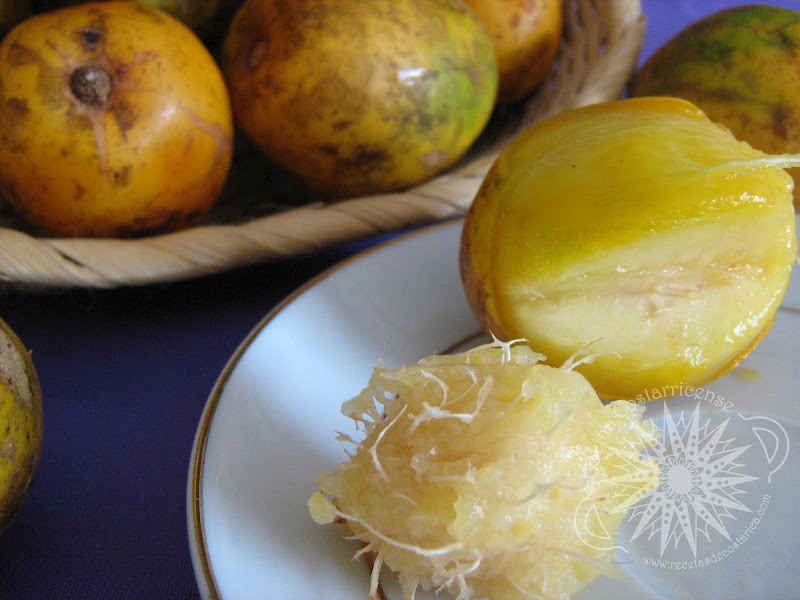 Cocina Costarricense: yuplón o jobo