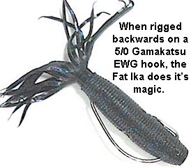 Monster Fishing Tackle: Yamamoto Fat Ika