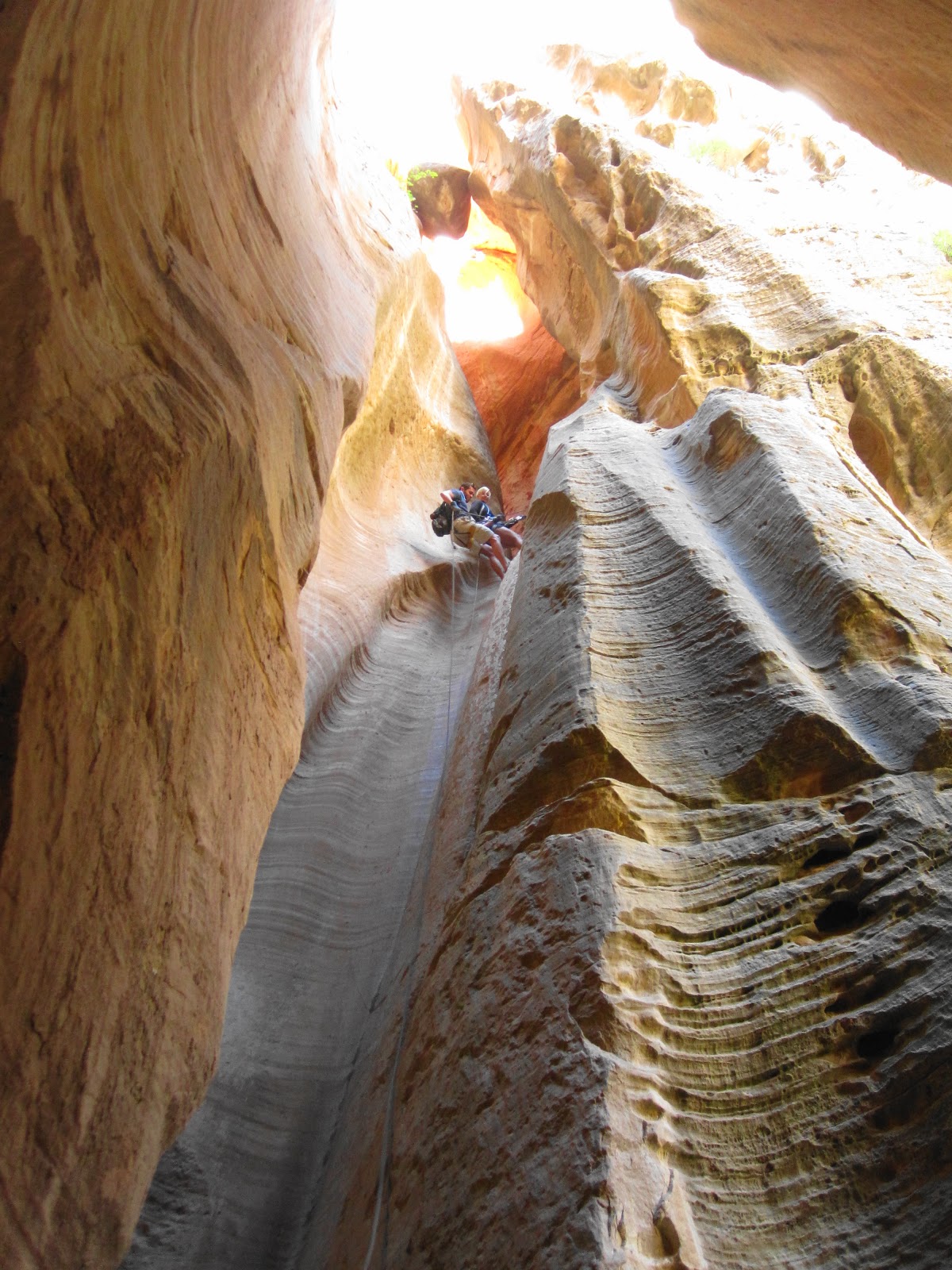 Zac, Kami & Zion: Birch Hollow