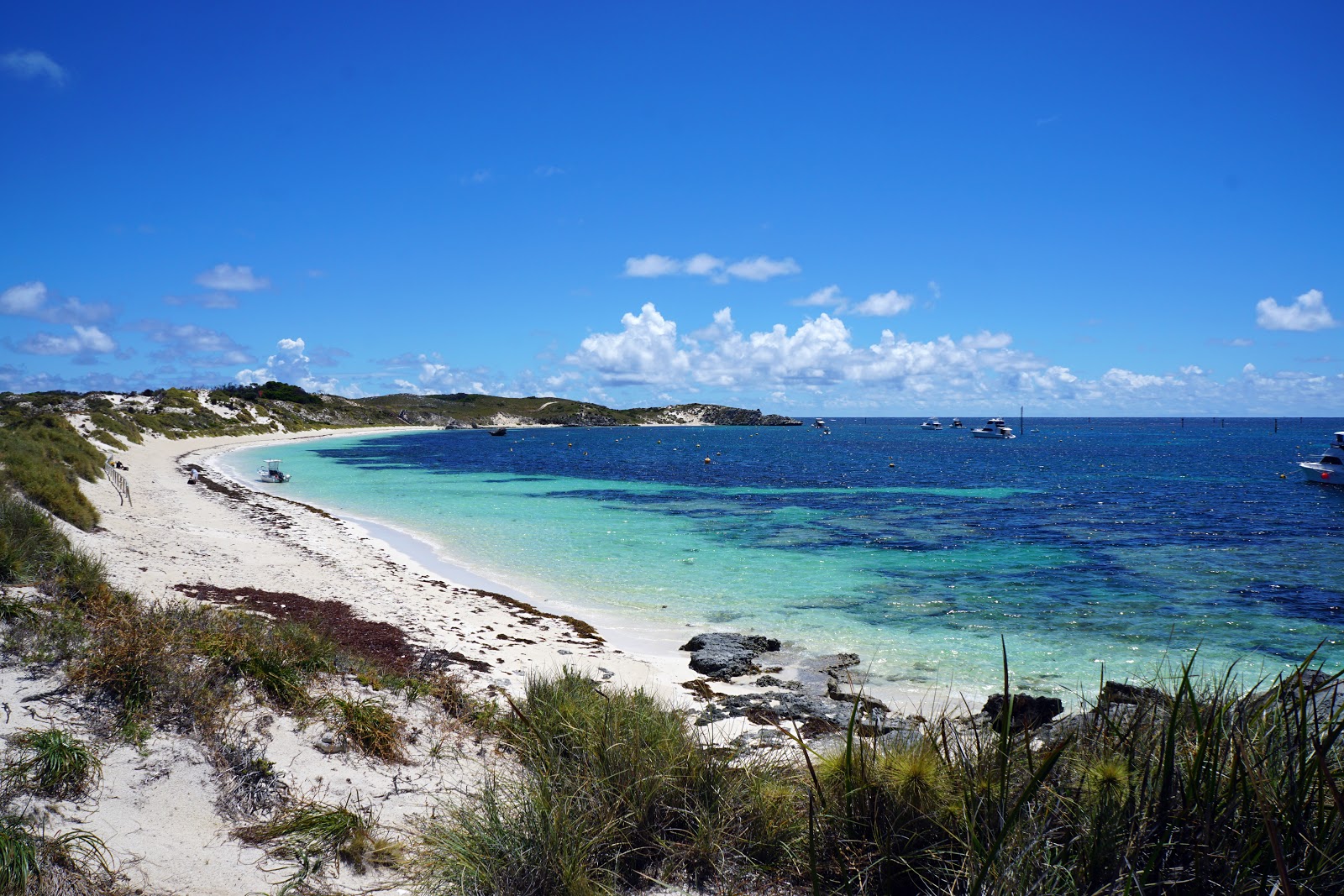 Karlinyah Bidi (Rottnest Island) ~ The Long Way's Better