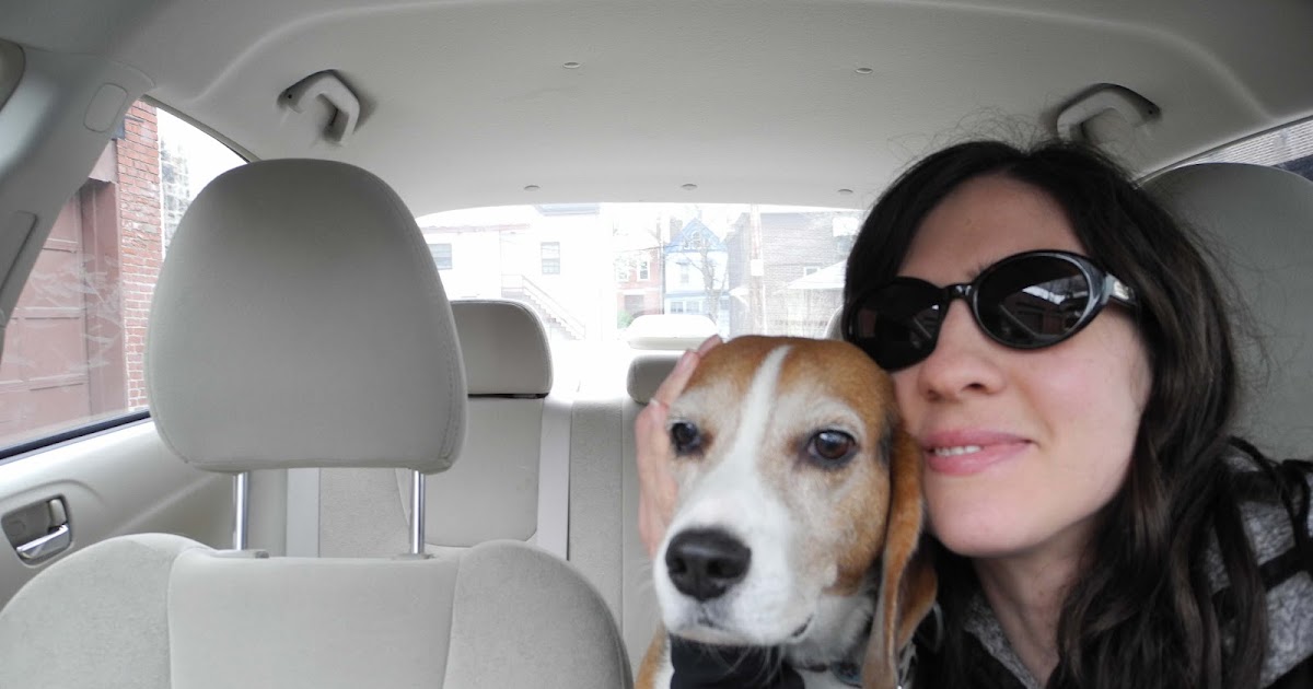 One Girl and One Beagle's Scheibler Treasure Hunt: 7506, 7508 and 7510 ...