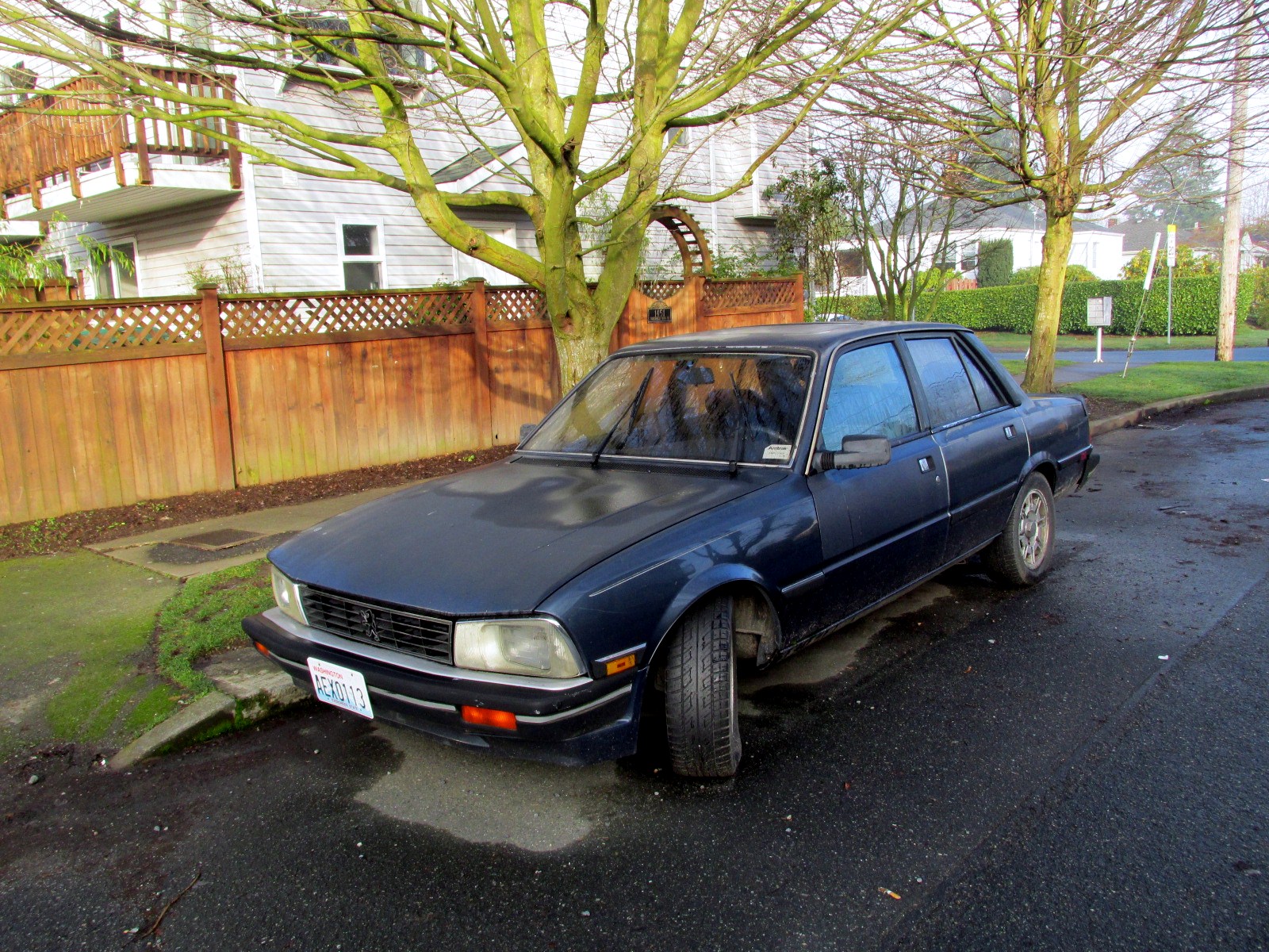 Seattle's Classics: 1987 Peugeot 505 Turbo