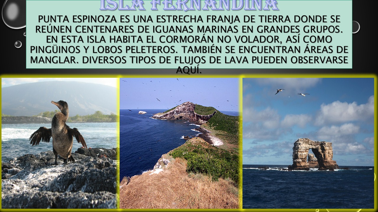 EL TURISMO EN EL ECUADOR : Región Insular o Galapagos, Cuarta Semana