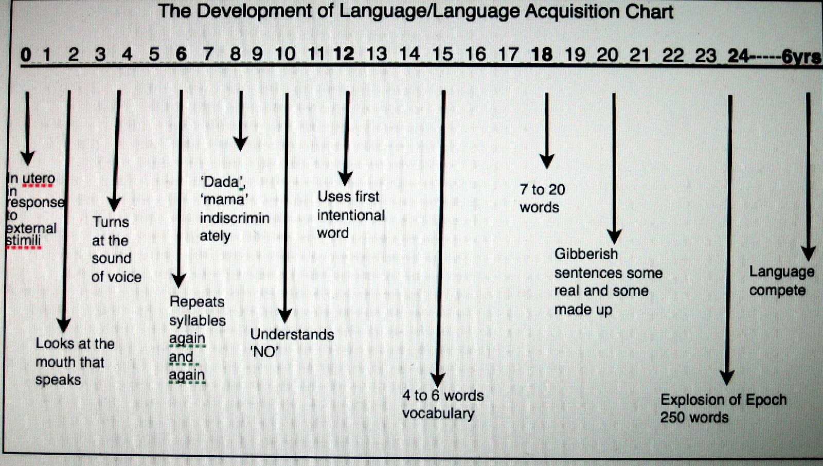 Montessori Masala: Acquisition of Language in The Developing Child