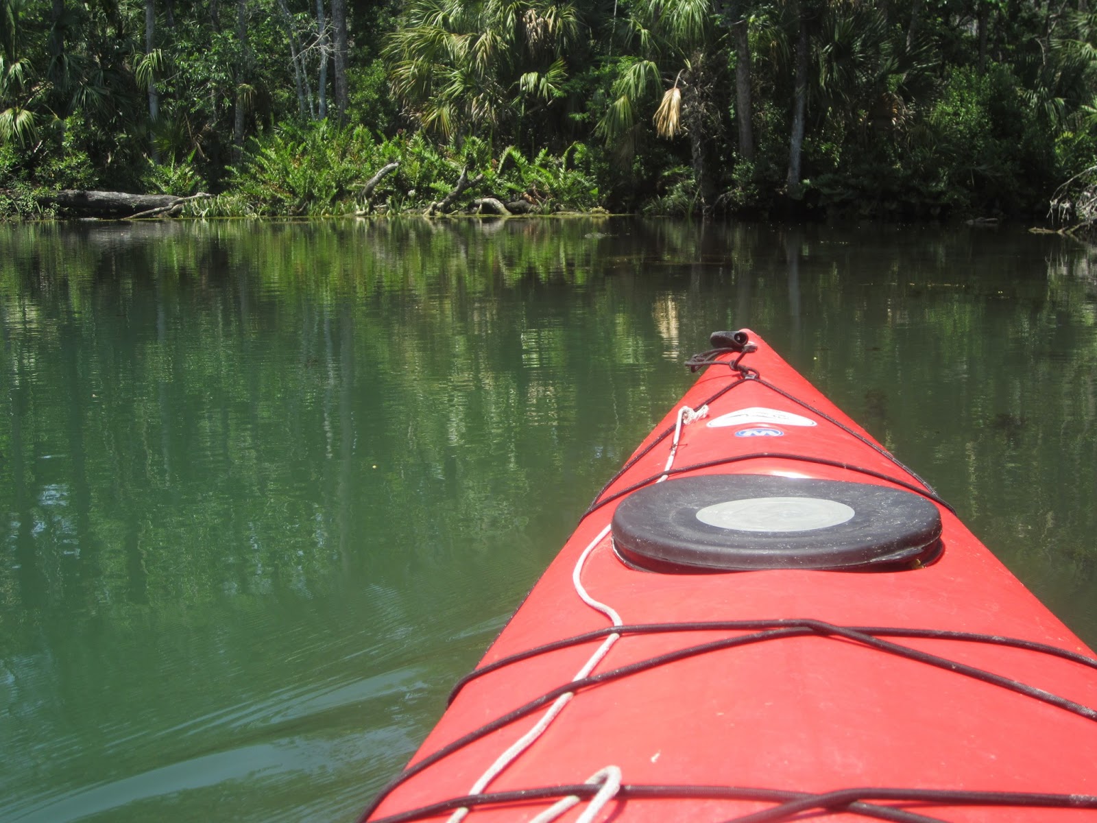 Dave's Yak Tales: Chassahowitzka