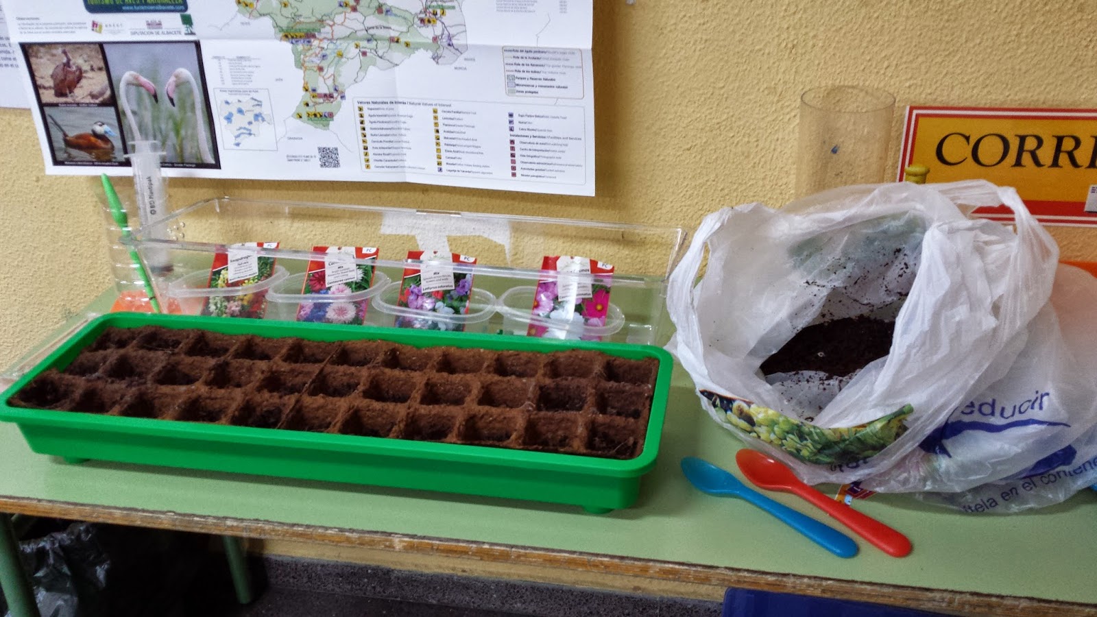 CON LÁPIZ Y TECLAS: Puesta en marcha de nuestro semillero