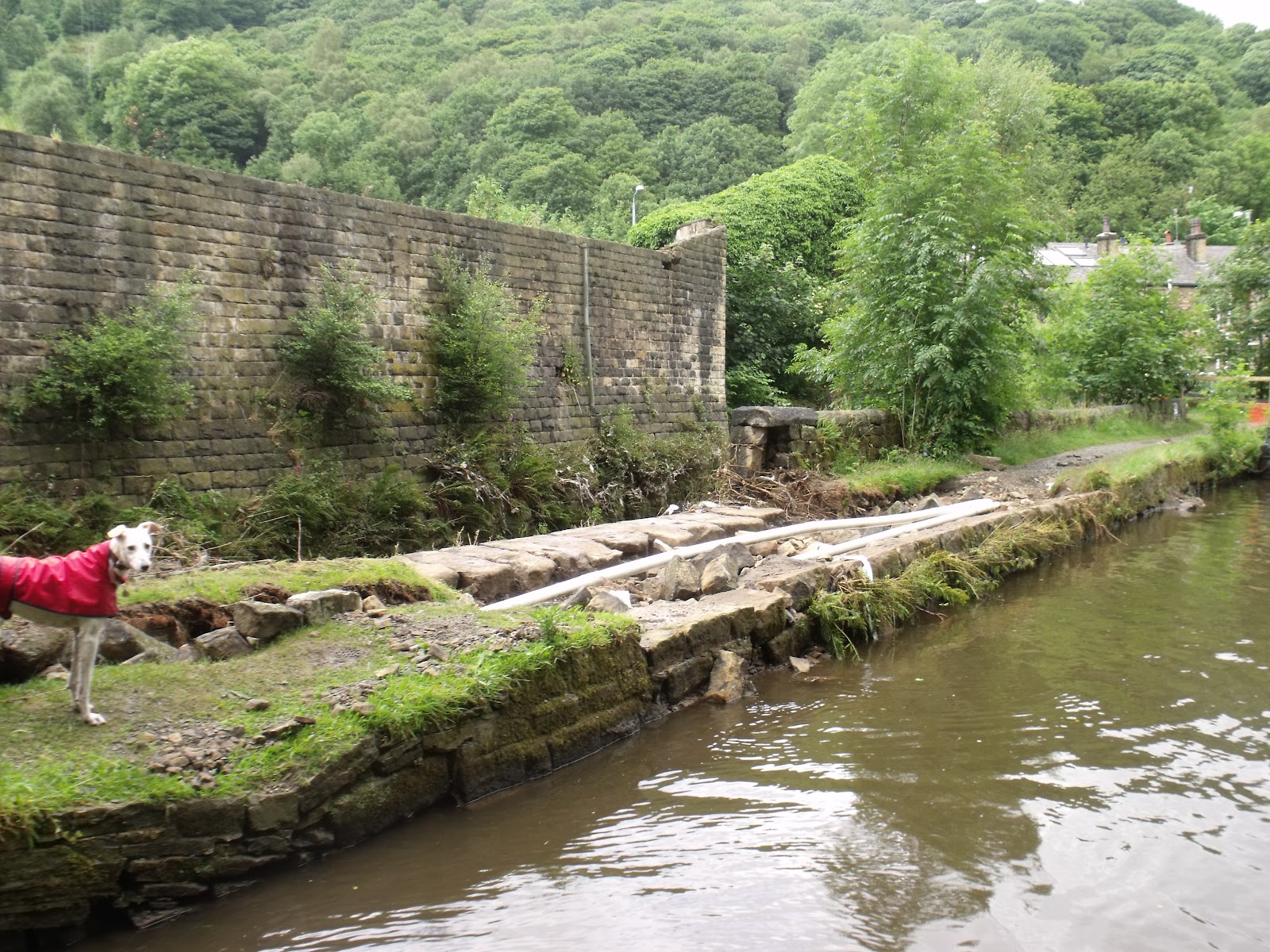 PATIENCE AND HER TRAVELS: Friday June 29th, Hebden Bridge - Todmorden