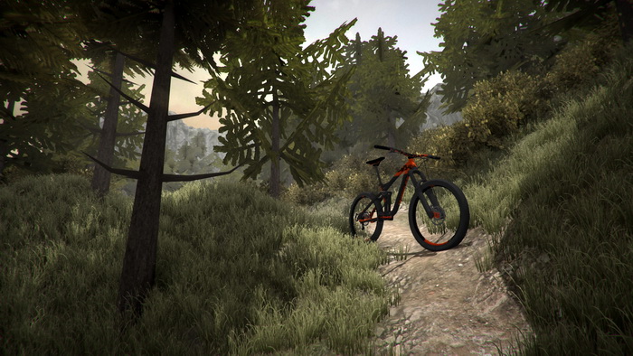 MTB Downhill Simulator - A-Store