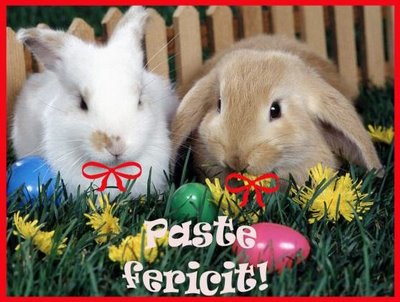 Cu bune si rele!: Paste fericit!