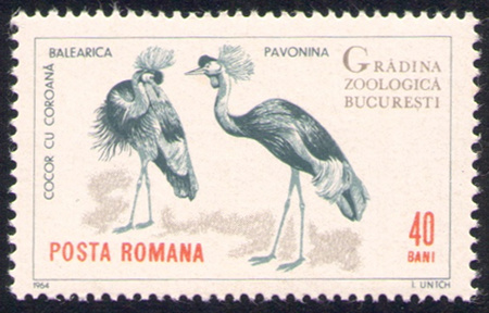 Timbre filatelice: Timbre-Animale si pasari-Gradina zoologica Bucuresti