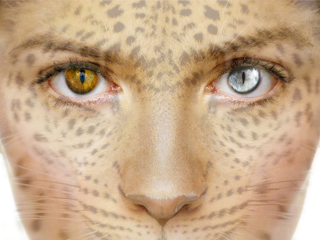 Photo wurx: Leopard woman