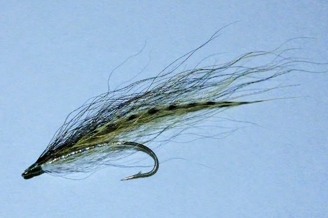 SOFT~HACKLE JOURNAL: Leopard Dace Flatwing Streamer