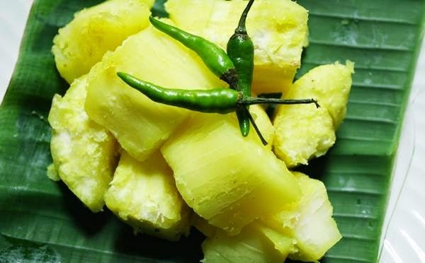 Cassava or Manioc Root, One more magic cure for Cancer - Akashirohige