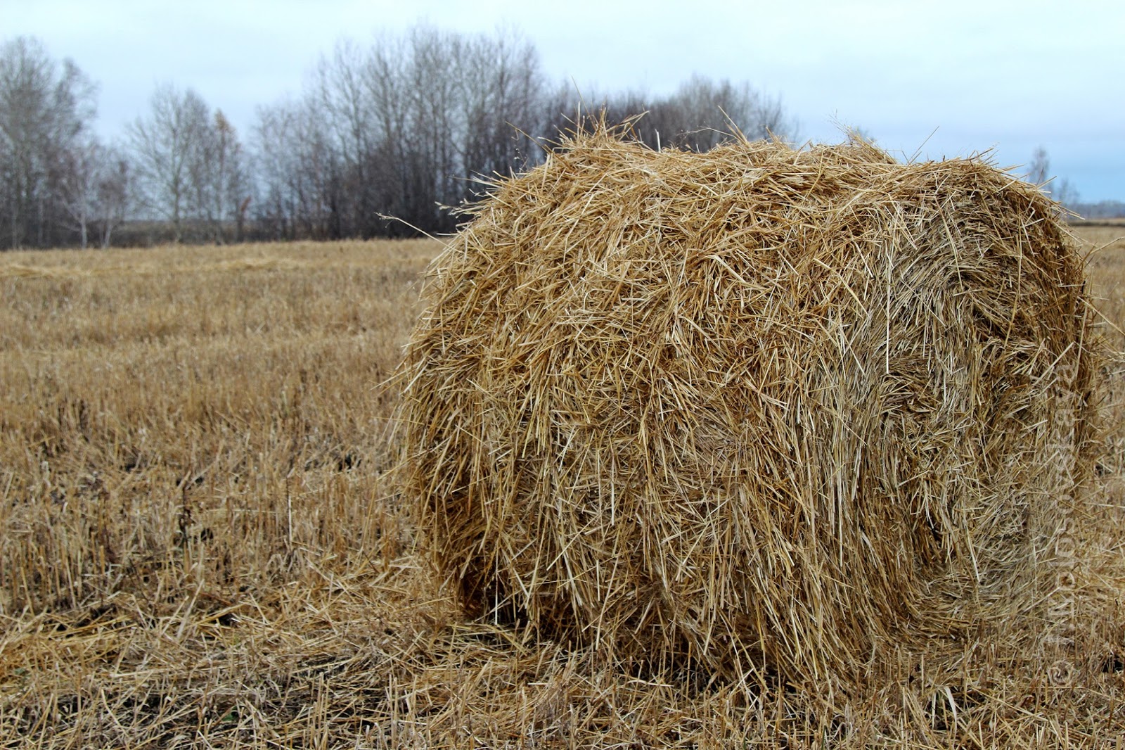 Photo Hacks: Placement of the Horizon in the Composition.