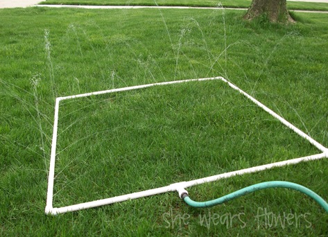 The Sweetest Pear: Sprinkler Fun