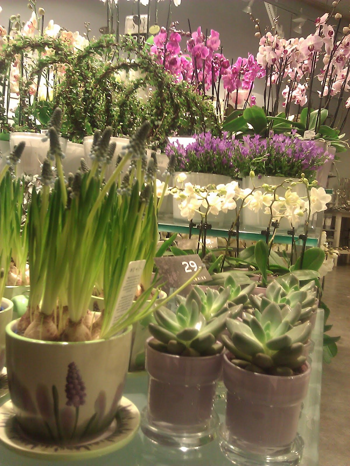 Floriss AS: Velkommen til Floriss Namsos!