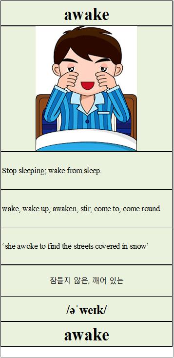 Lexipic: Vocabulary Flash Cards-BNC pg09