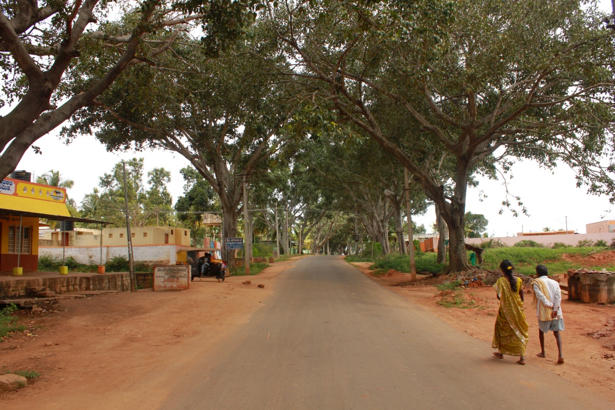 Journeys across Karnataka: Chikkanna & Thimmakka's Saalu-Maragalu