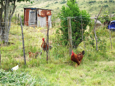 Megan's Great African Adventure: Tshabo: Rural Village Homestay