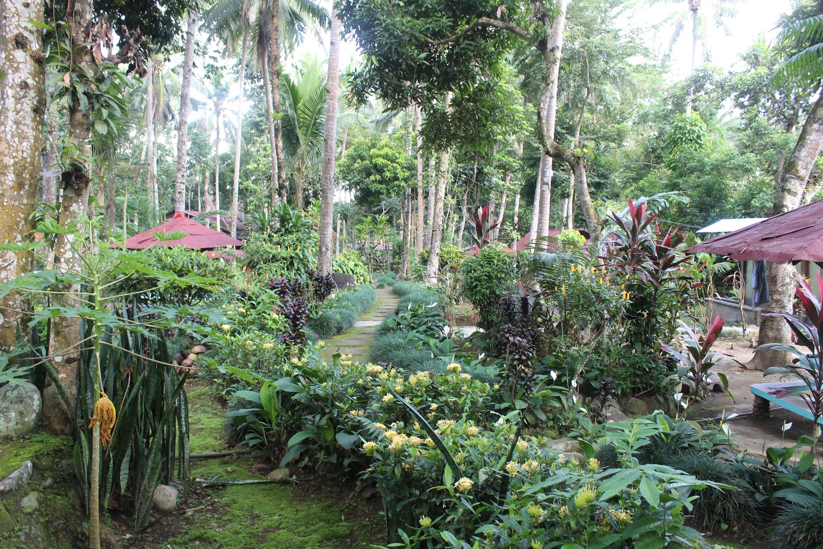 LEXICAL CROWN: LILIW RESORT: A COMPLETELY LUSH FOREST PARADISE