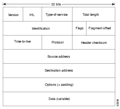 Networking And Scripting : Packet Formats to Remember