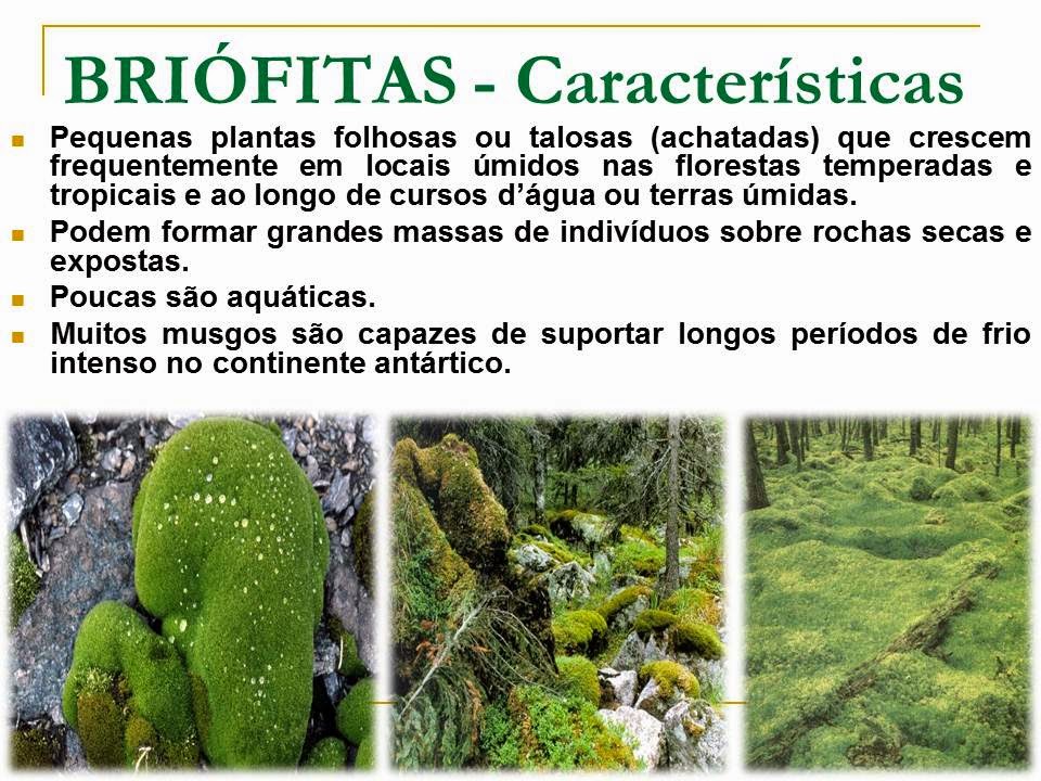 Biologia: A ciência da vida