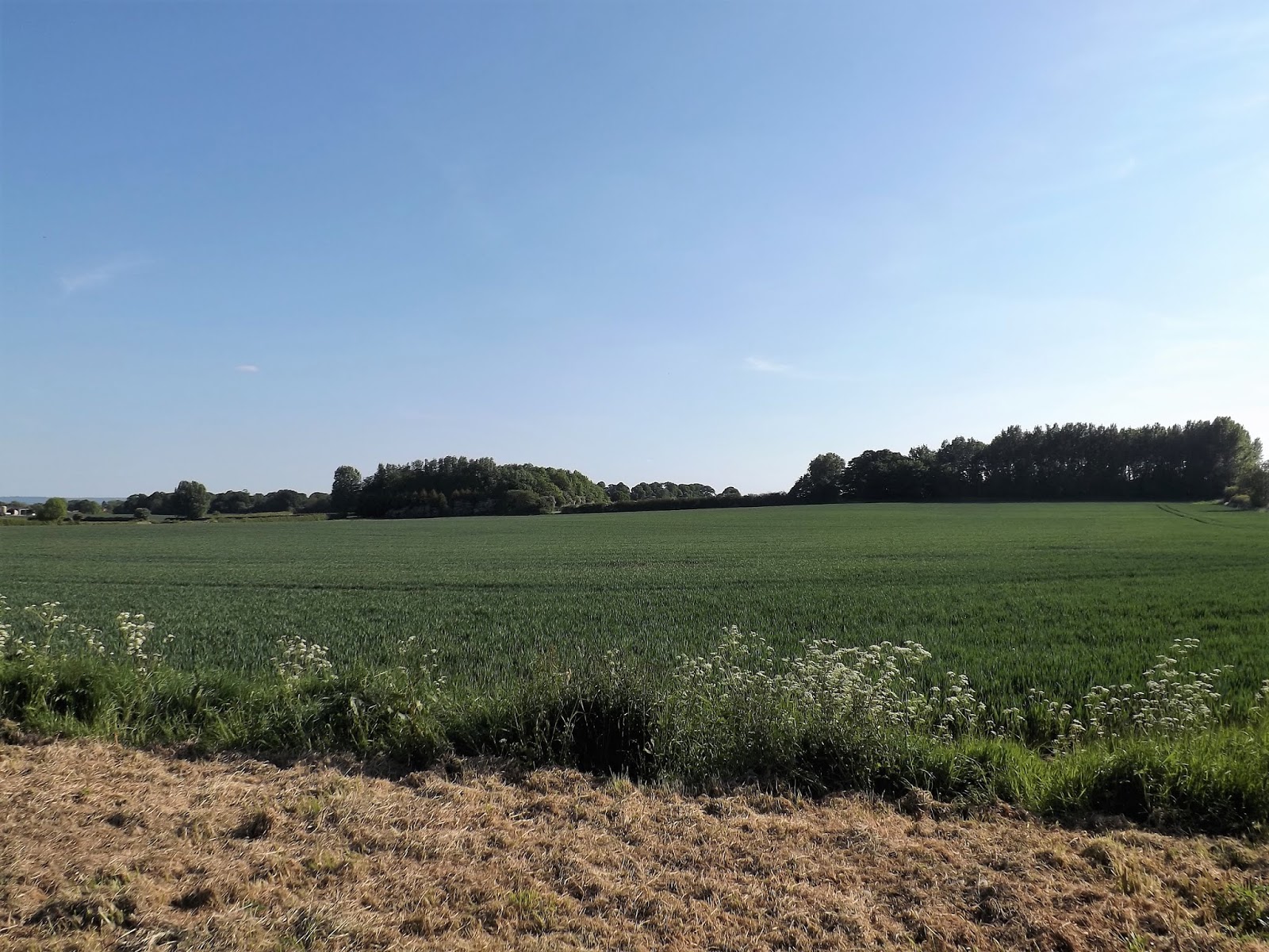 JJ's Wargames: Battle of Stoke Field, 16th June 1487