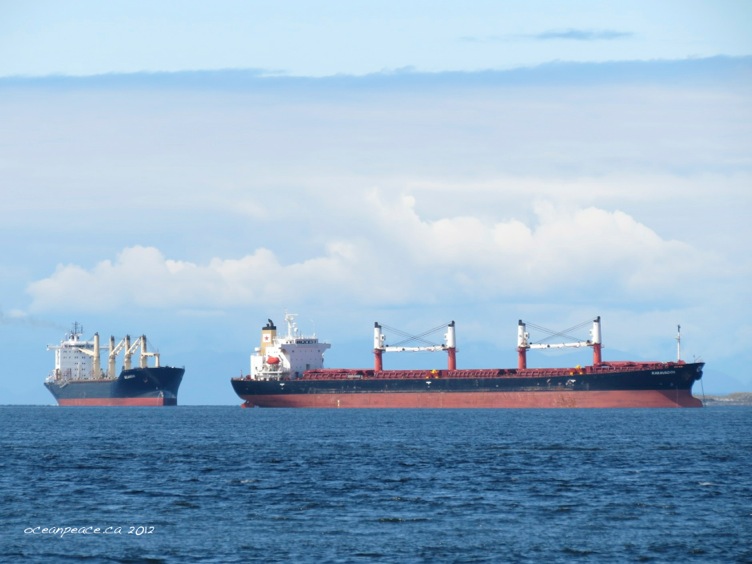 OCEANPAX Paddle / Run / Be: Paddling "little boats" with "grown-up ...