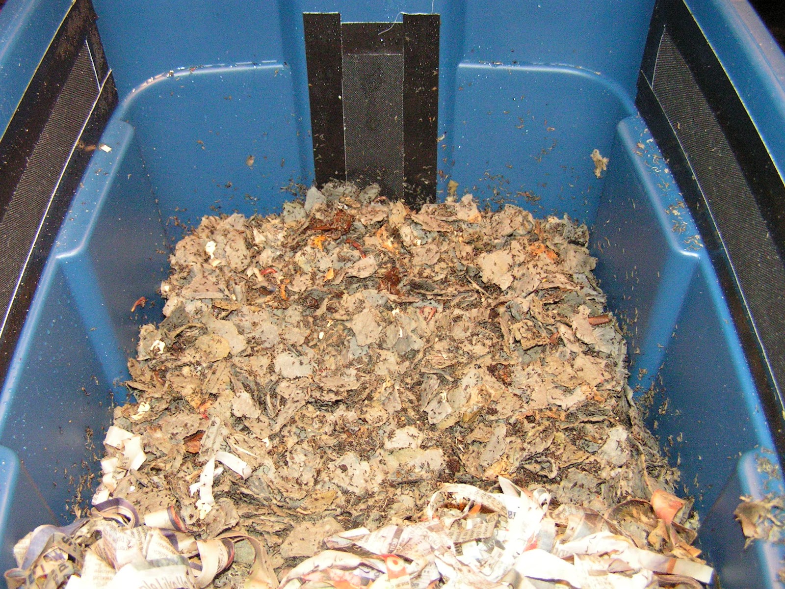 Worm Fancy -- Sacramento area's worms and worm castings