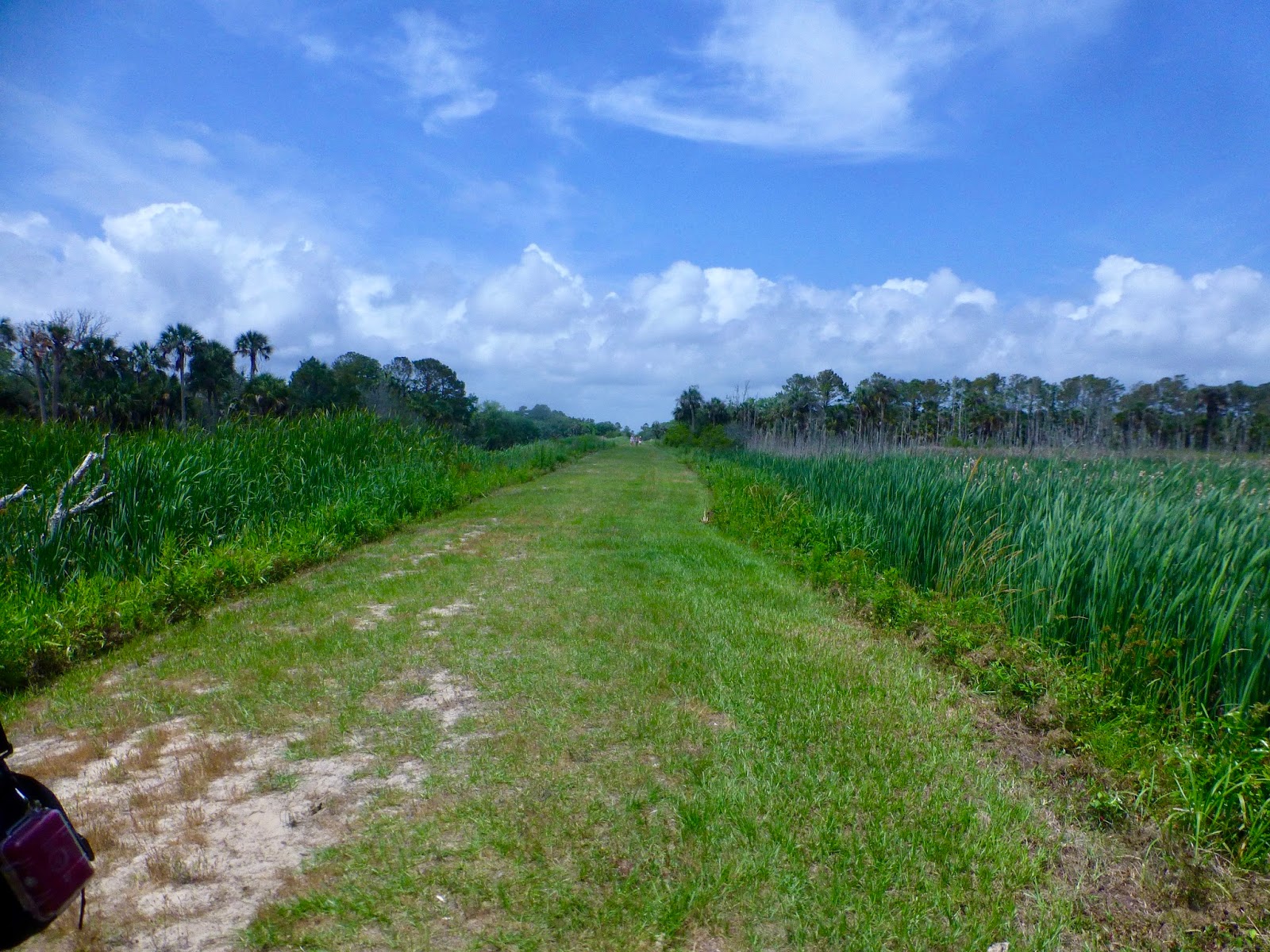 Hiking Oregon: Bull Island, Cape Romain National Wildlife Refuge, SC