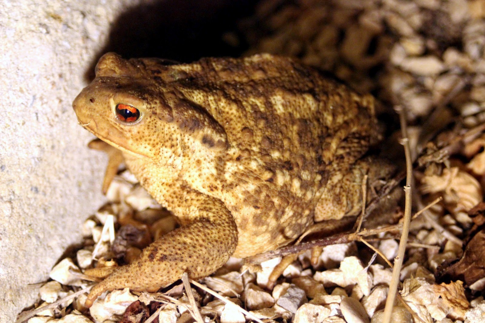 Hedge Finders: August 2012