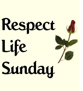 Sacerdotus: Respect Life Sunday