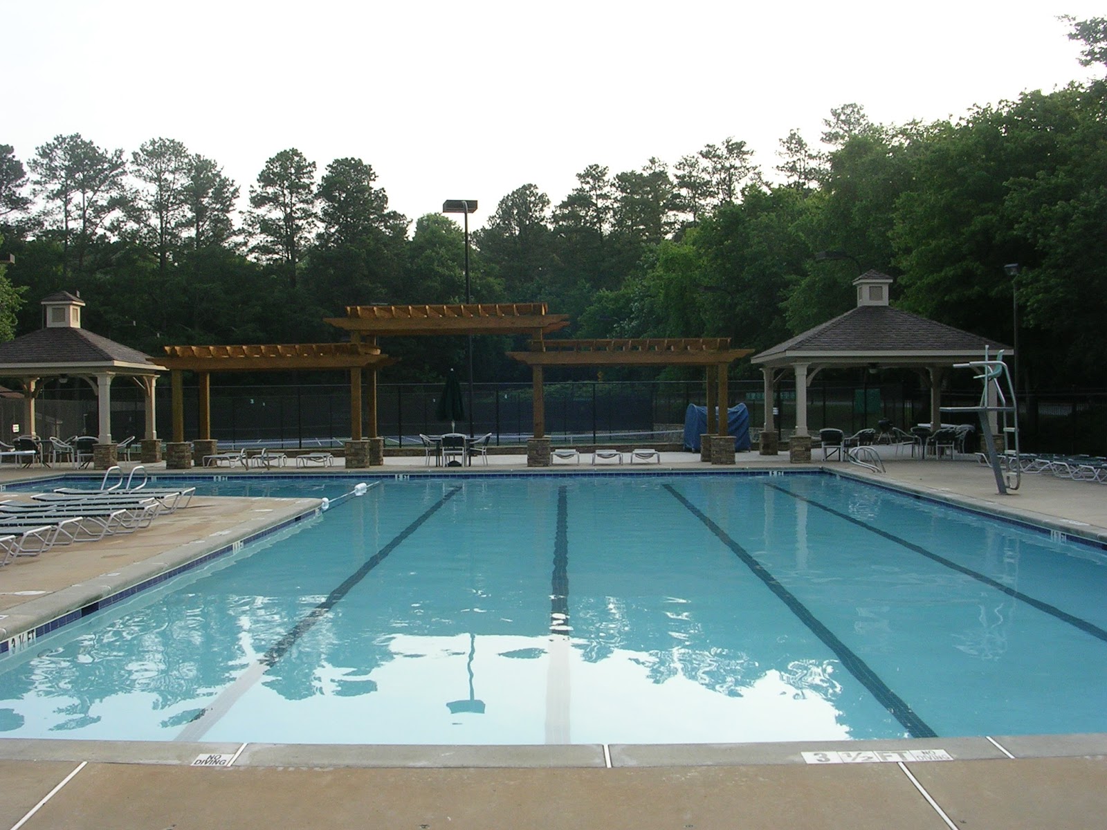 Pam Santoro: Alpharetta, GA Real Estate Agent: Pinewalk Subdivision ...