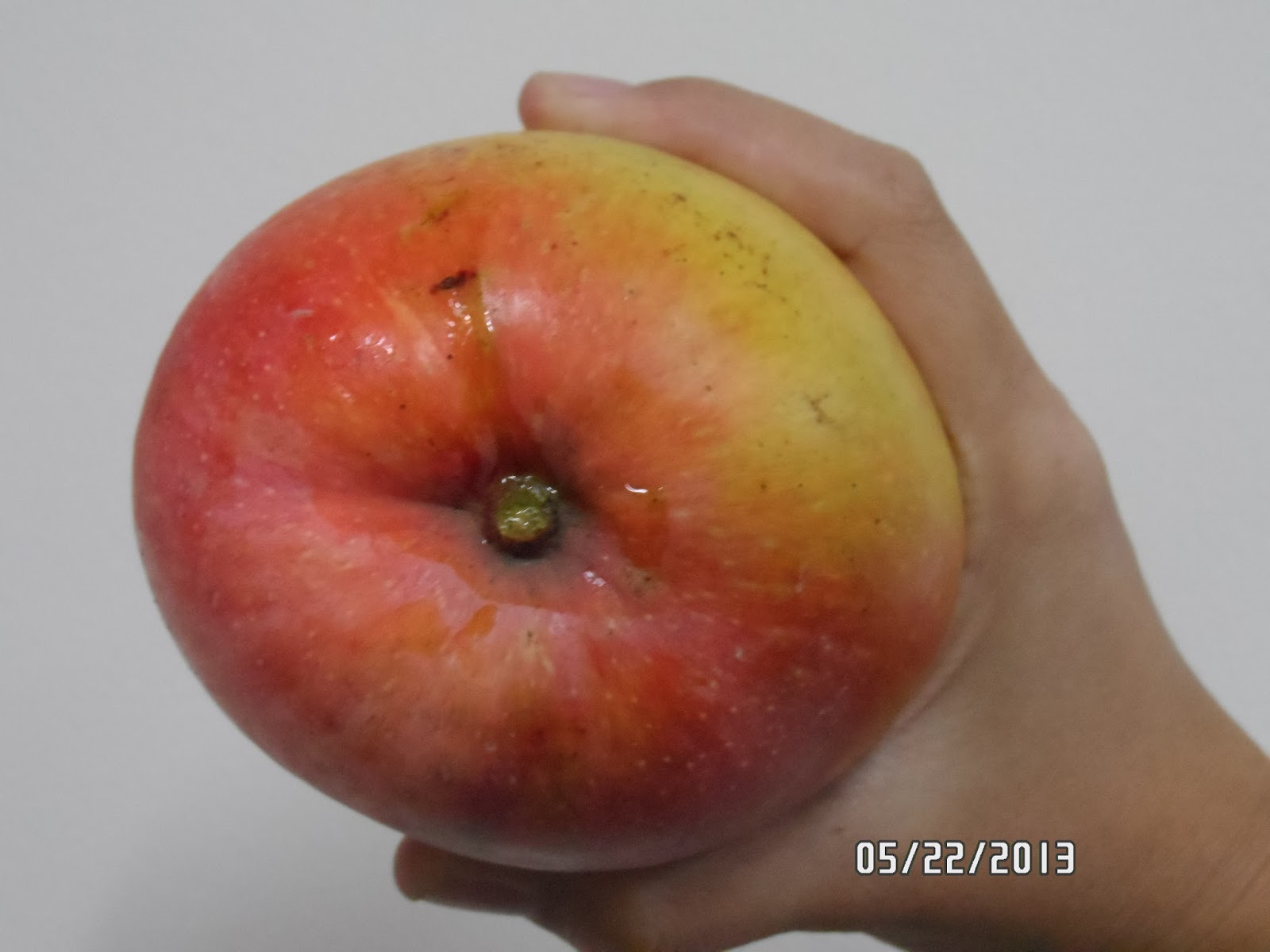 Apple Mango | My Carry All Bag