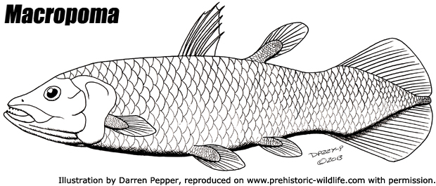 Escenarios prehistóricos: Macropoma
