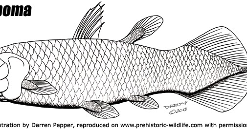 Escenarios prehistóricos: Macropoma