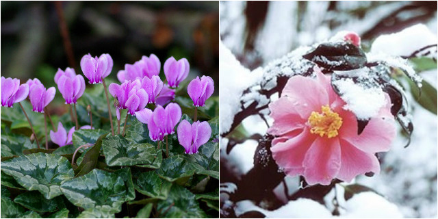 VERDE TIME by Stefano Tenneroni: VERDE TIME GIARDINO MINI LEZIONE ...