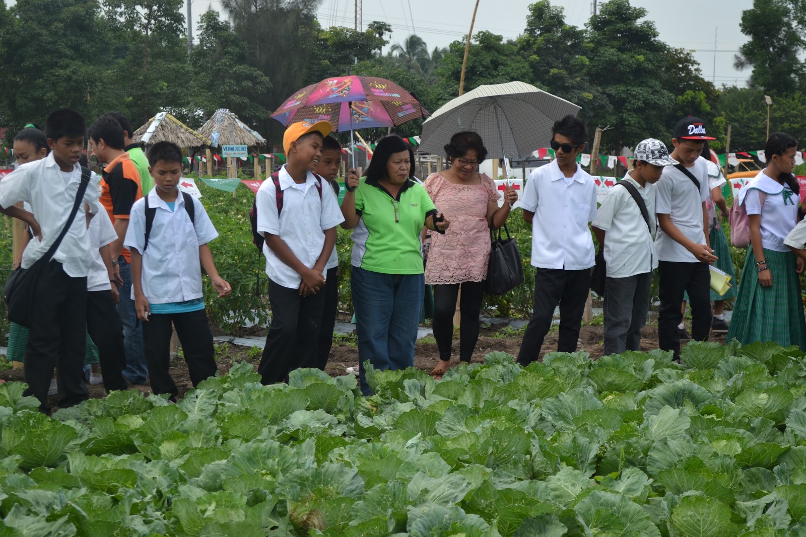 Barangay Cannery Site: AGRI-LAKARAN SA GULAYAN